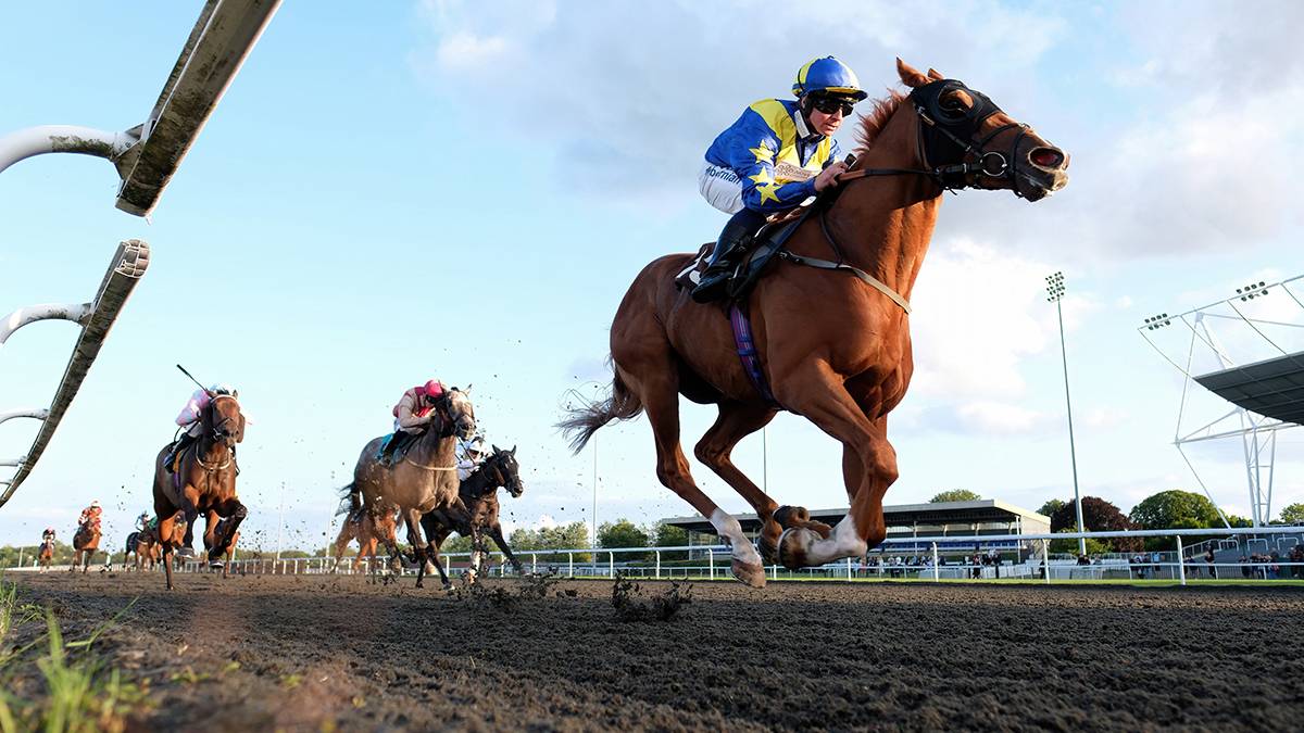 DOUBLE DOWN gets his head in front. - Tom Ward Racing